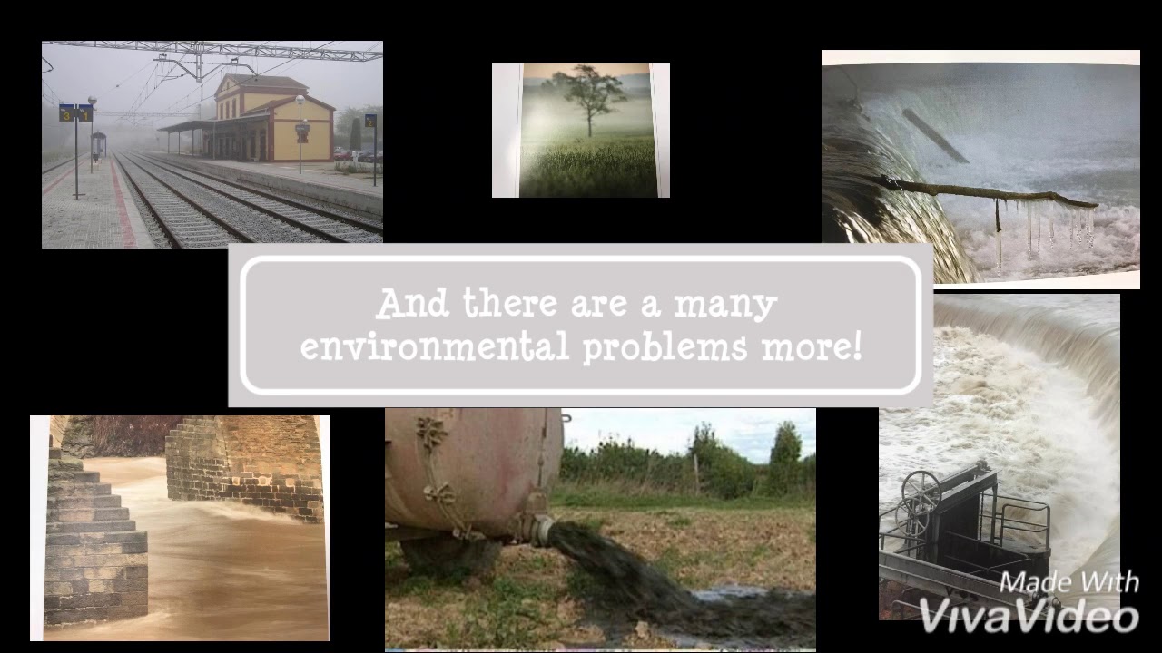 The Environment - YouTube