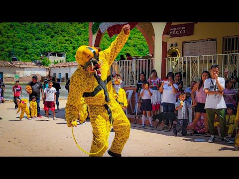 danza de los tekuanis (cacería del tekuani )copanatoyac Guerrero 2023🐅 ...