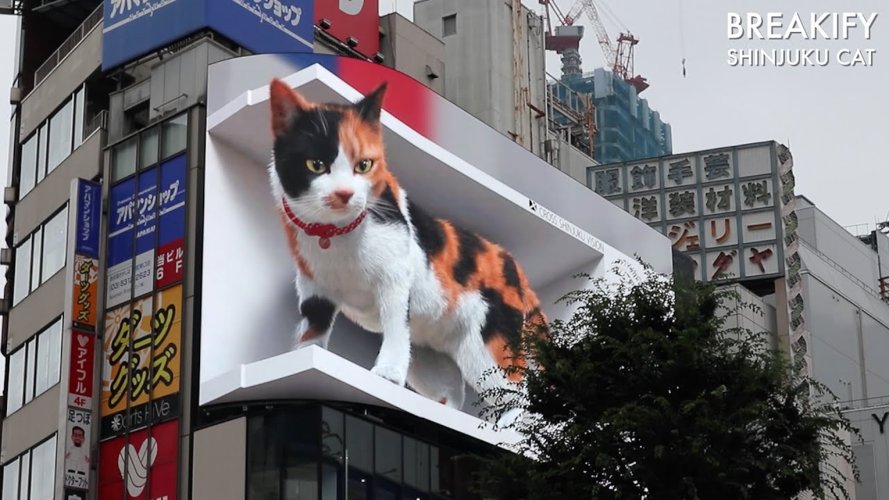 Shinjuku Cat In Japan - Ultra Realistic 3D Billboard Wall Screen (Tokyo ...