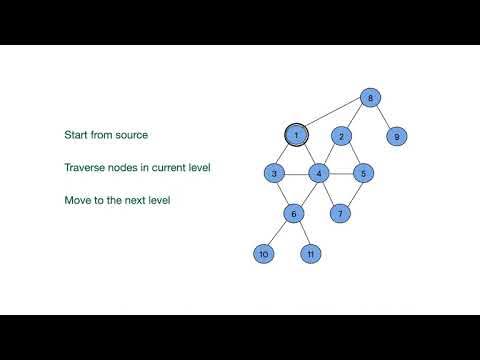 Traversals | Breadth First Search | BFS & DFS | Graph Traversing - YouTube