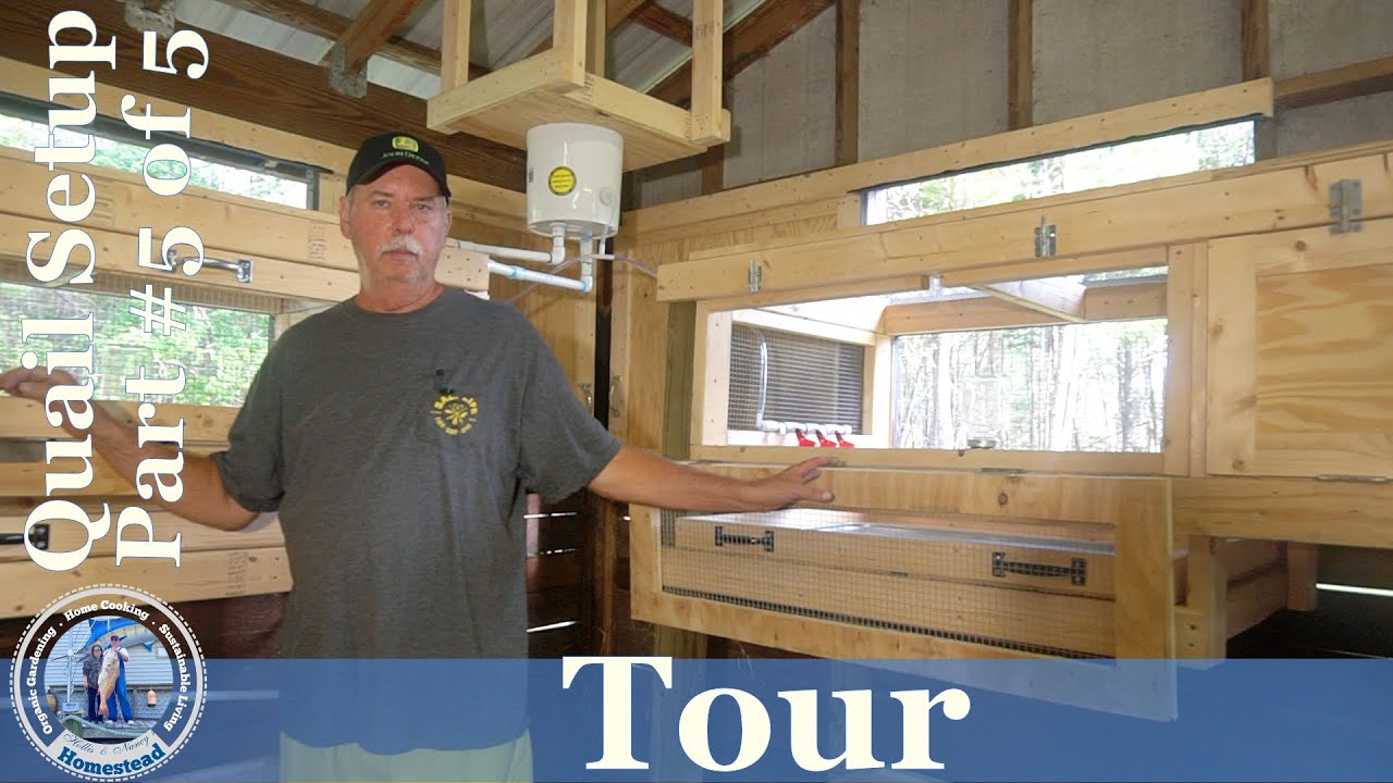 Quail Setup (#5 of 5) Tour - YouTube