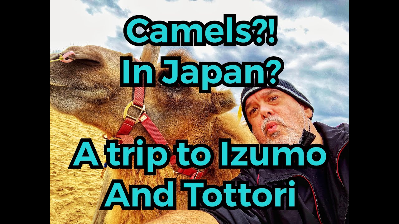 Travel in Japan to Izumo and Tottori with Camel! Thanks to GoTo it was ...