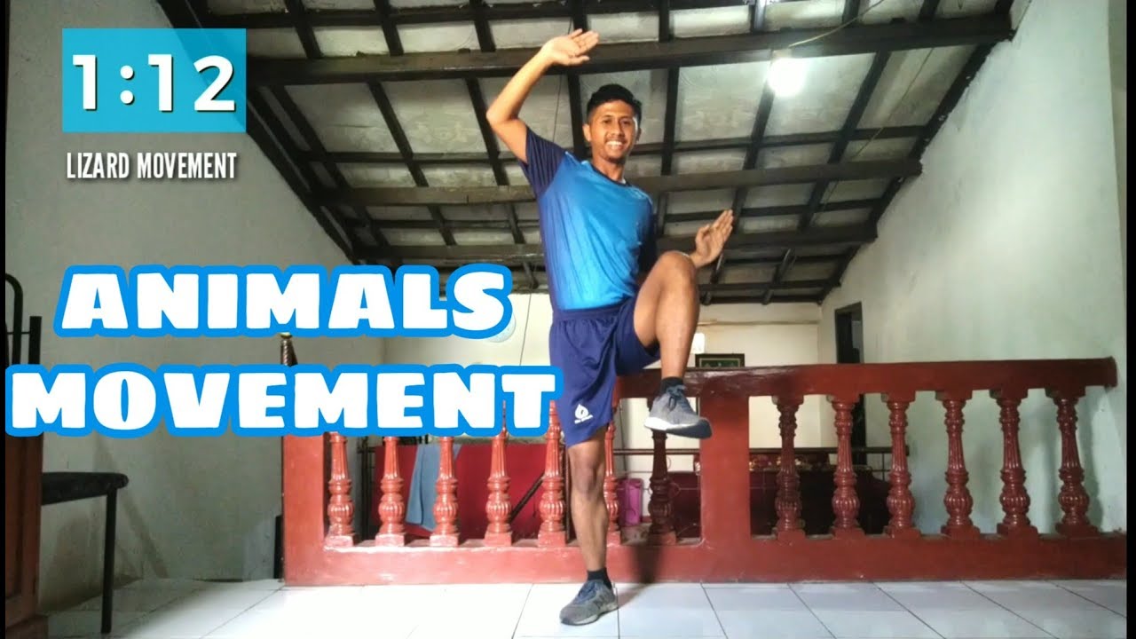 Olahraga untuk anak - animal movement exercise - YouTube