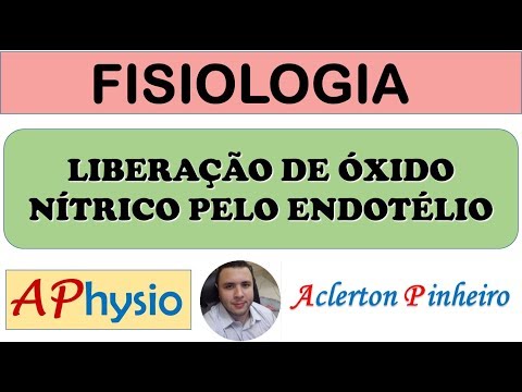 Liberação de Óxido Nítrico (NO) pelo Endotélio