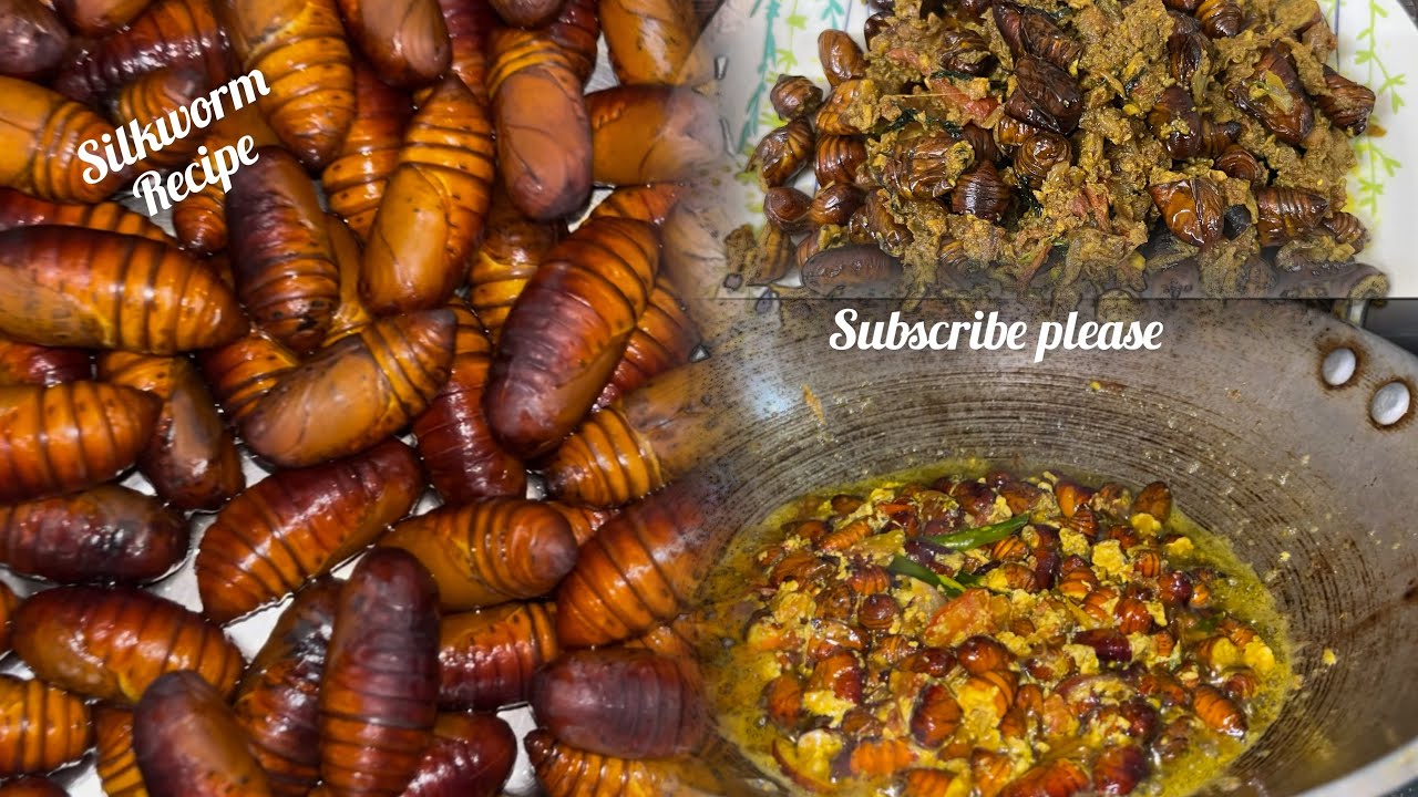 Silkworm frying recipe || silkworm recipe in a simple style || tasty ...