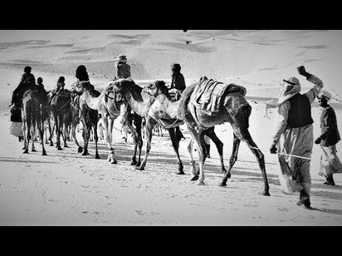 UAE : HISTORY of ABU DHABI Full AMAZING Documentary - YouTube