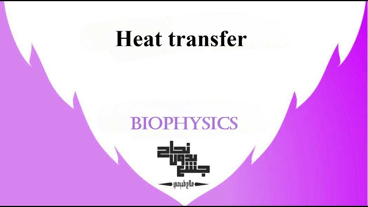 Heat transfer, Biophysics, Lec 7 pt.2 - YouTube