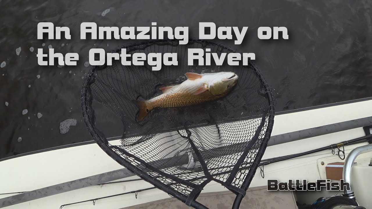 Another Amazing Day on the Ortega River - YouTube
