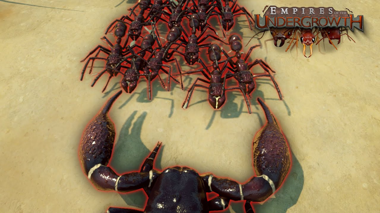Bullet Ants are Unstoppable! (Empires of the Undergrowth) - YouTube