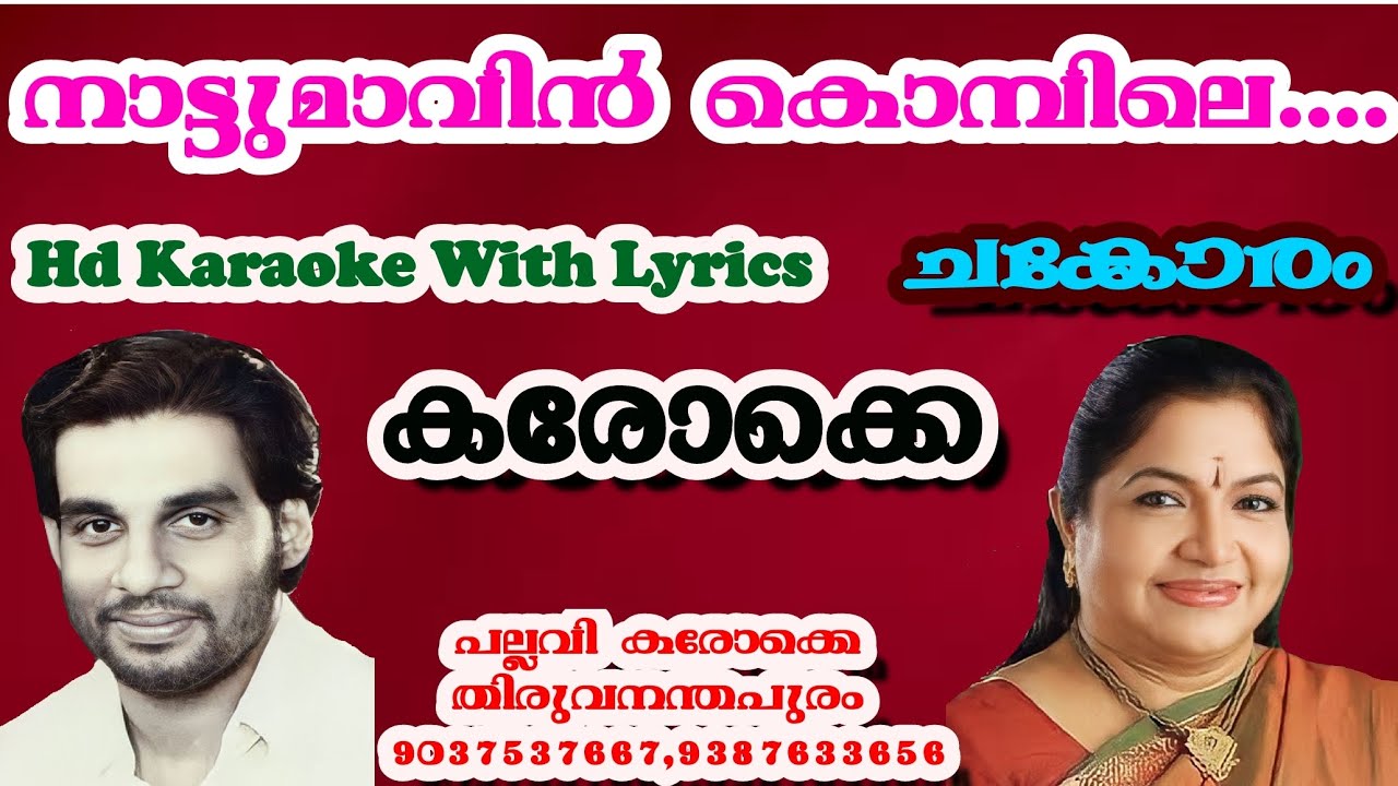 Nattumavin Kombile=Demo|Hd Karaoke With Lyrics||Movie;Chakoram|| - YouTube
