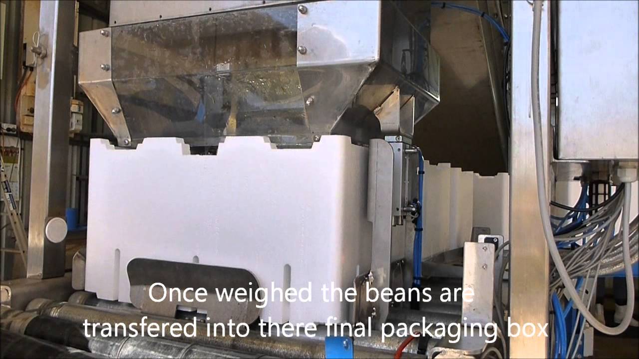 Fully Automated Green Bean Packing Machine - YouTube