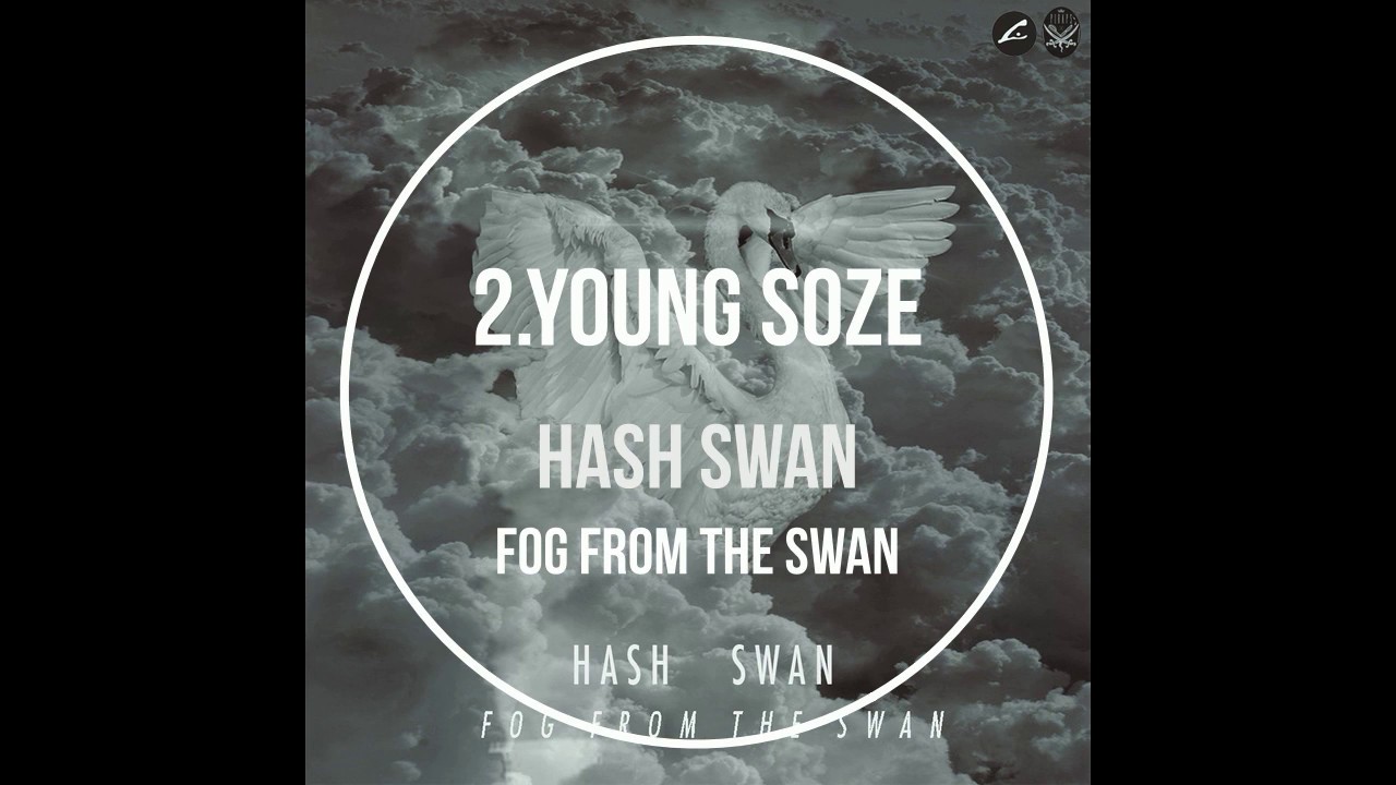 [MIXTAPE] 해쉬스완 HASH SWAN - 2.Young Soze [Fog From the Swan] - YouTube Music