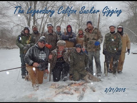 Sucker Gigging! | Ken Beam & his crazy buddies gig Suckers in Califon ...