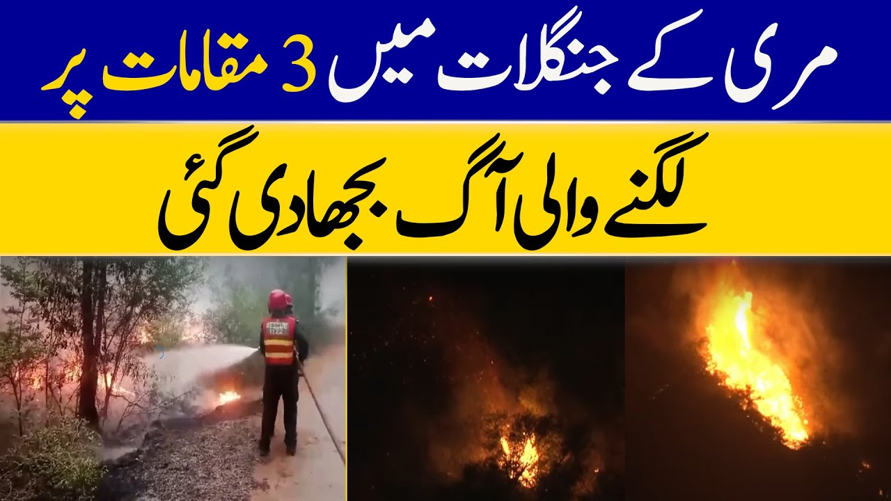 The Fire At Three Locations In The Forests Of Murree Has Been ...