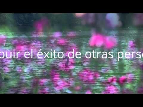 Alfabetización Aide