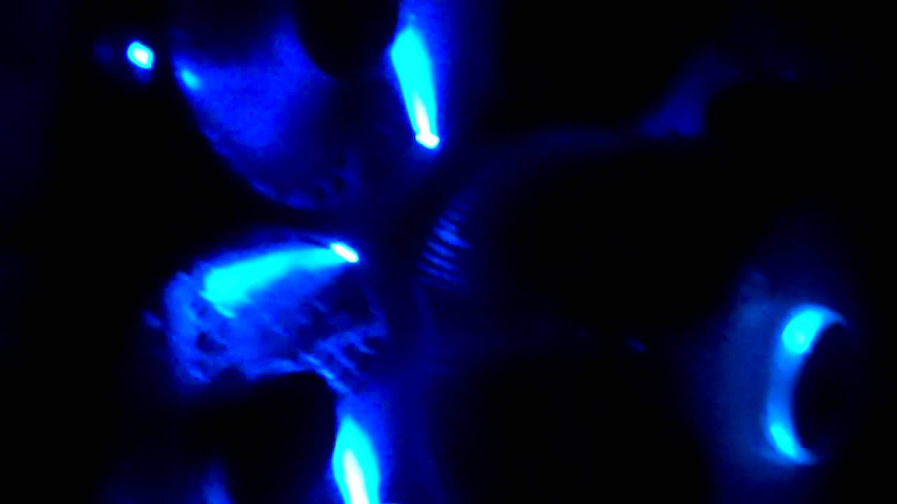 Showing off my new gaming computer stay tuned for update! - YouTube