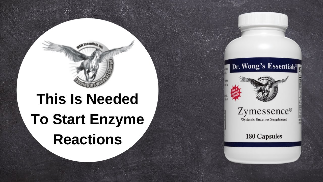 Dr Wong Zymessence - The importance of serrapeptase in a systemic ...