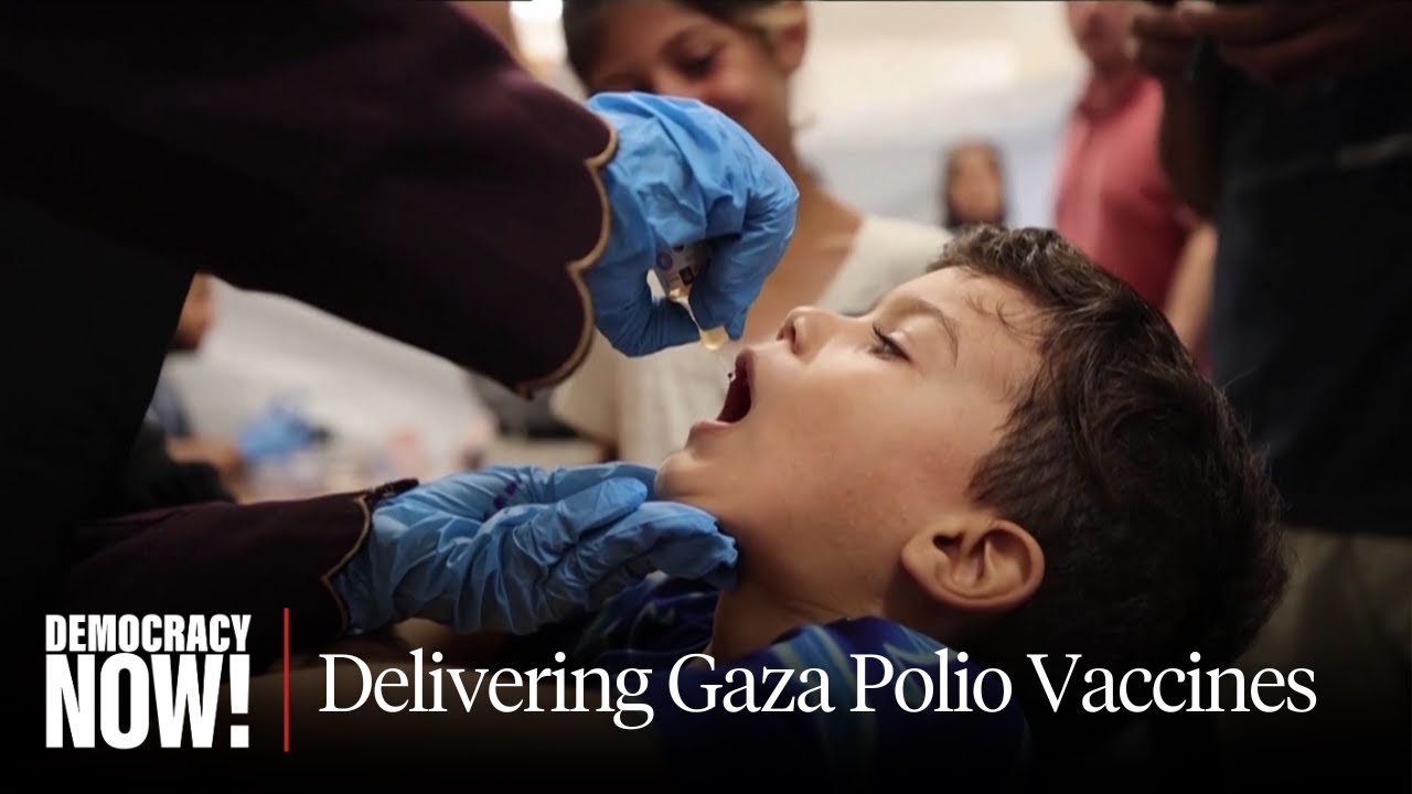 Dire: Aid Workers Vaccinate Gaza Children During Pauses in Israeli ...