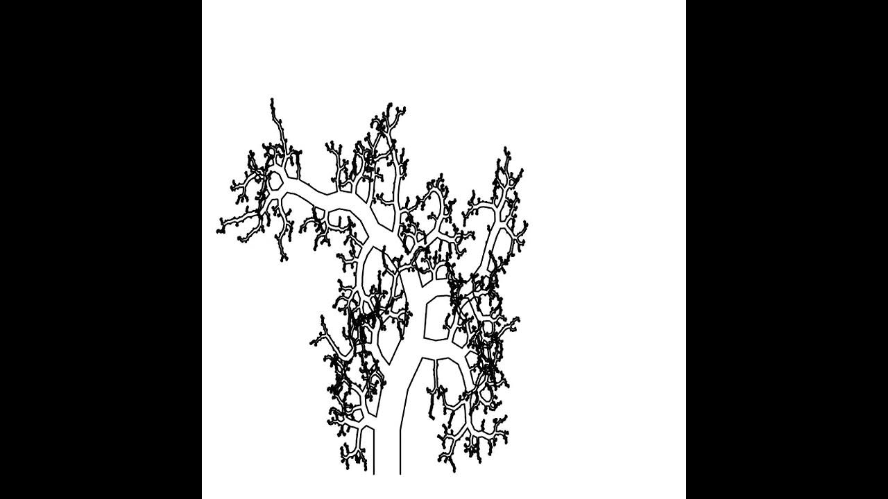 Rotating Pythagoras fractal tree - YouTube