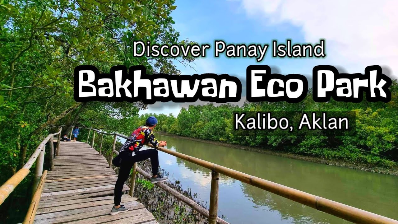 Visit Bakhawan Eco Park🧭 Kalibo, Aklan #Nature #Kalibo #Motovlogers ...