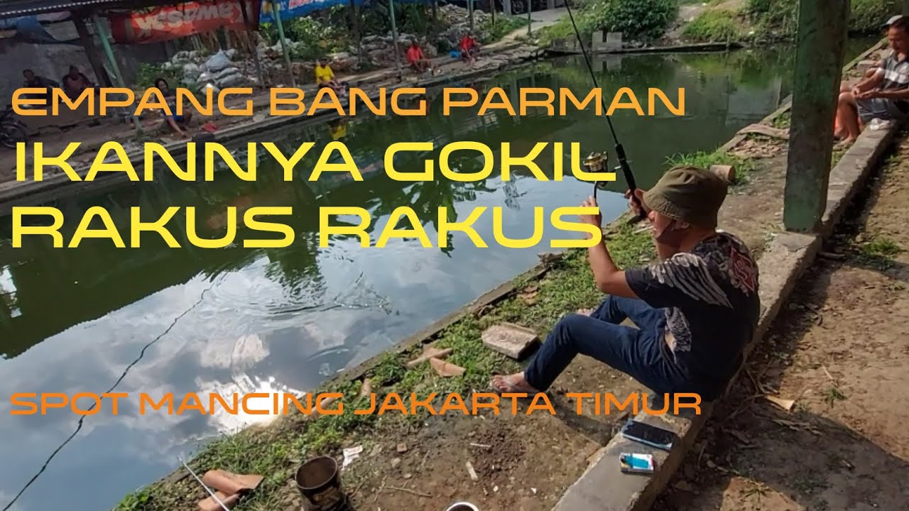 mancing empang jakarta timur || lokasi pemancingan bang Parman ...