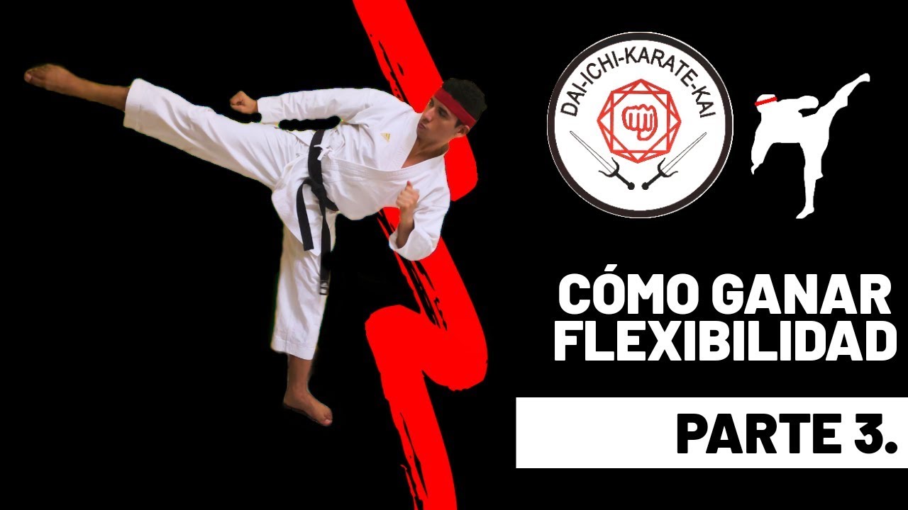 Cómo ganar más flexibilidad parte 3 | Estiramientos para karate ...
