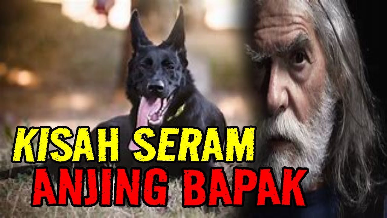 KISAH SERAM ANJING BAPAK - YouTube