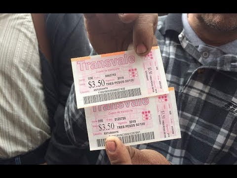 Choferes denuncian que va en aumento la falsificación de Transvales ...