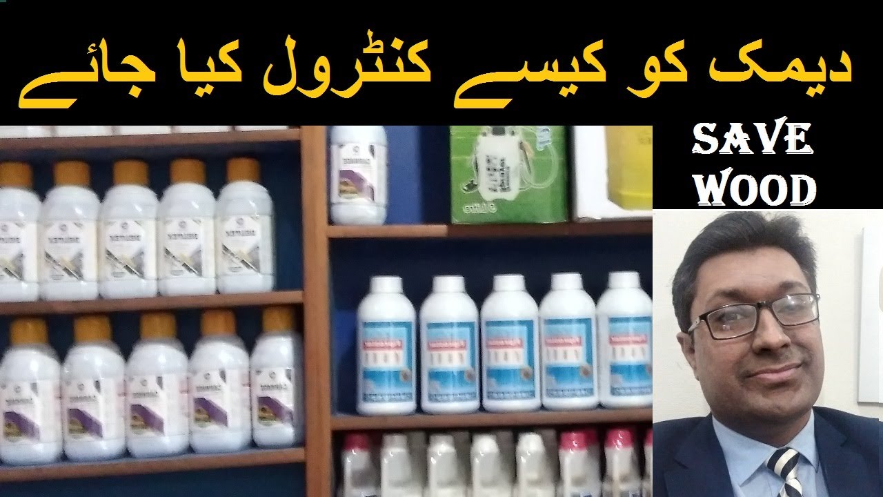 Anti Termite Treatment | Deemak Control Pakistan | How To Kill Termites ...