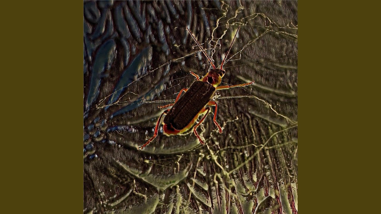 The Test - Brenda Jackson: Song Lyrics, Music Videos & Concerts