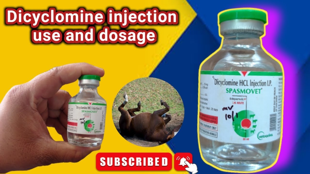 SPASMOVET Inj [Dicyclomine Hcl] Uses & Dosage by Veterinary Telugu # ...