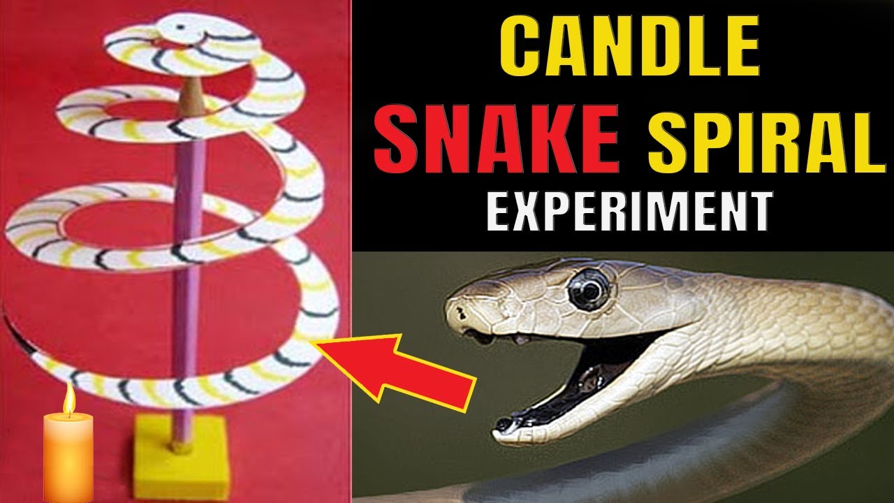 Candle Snake Spiral DIY Science Experiment | 🔴| Easy Method |DIY ...