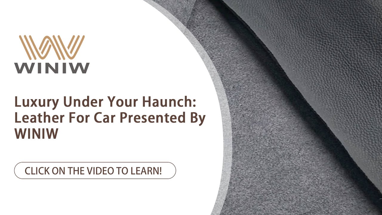 Luxury Under Your Haunch:Leather For Presented By WINIW - YouTube