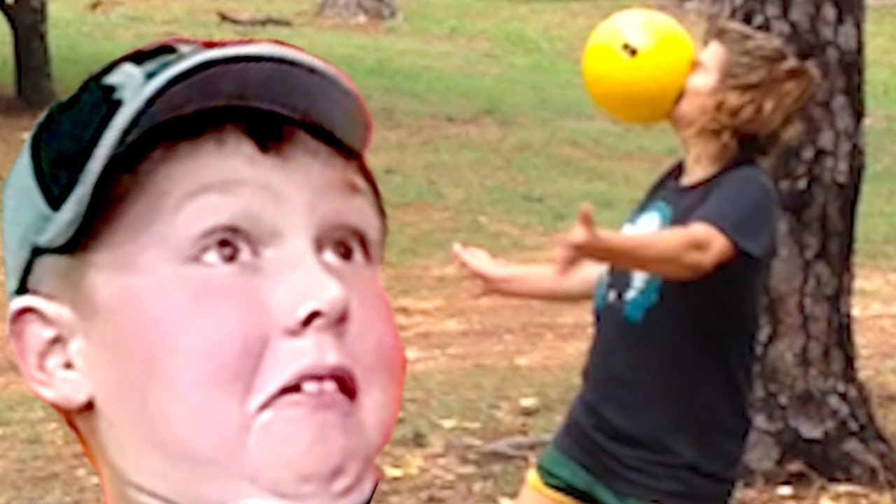 Ultimate Try Not to Laugh Challenge: Girl, Kid, Animal, Sport Fails ...