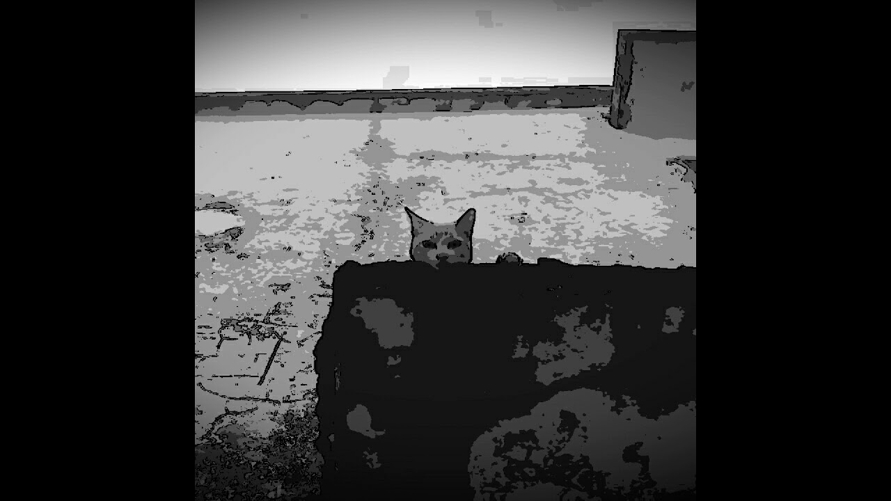 Pinche Viejo Mamón - YouTube