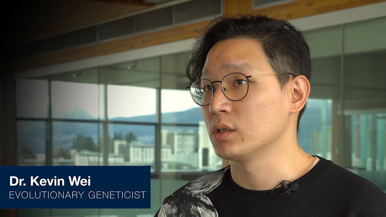 Why does Dr. Kevin Wei study fruit flies? - YouTube