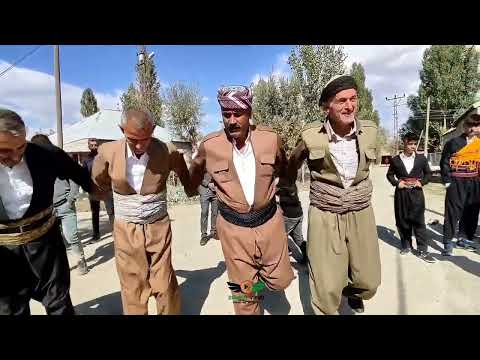 YÜKSEKOVA DOĞANLI KÖYÜ ERTOŞİ AŞİRETİ DENGBEJLERİ HALAY [ HD © 2022 ]