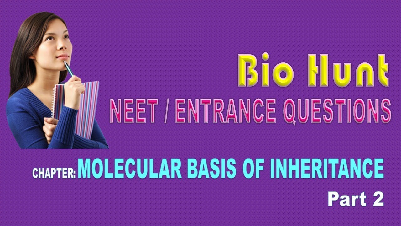 NEET TOP QUESTIONS- Molecular basis of inheritance - part 2 - YouTube