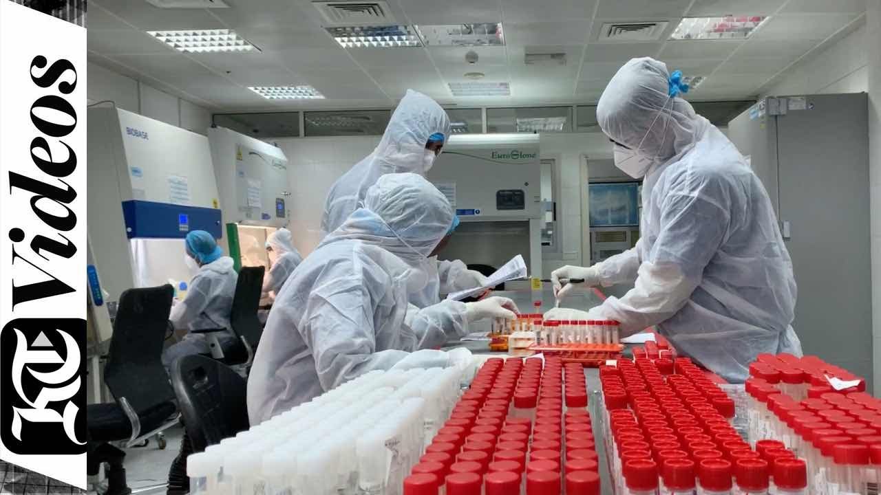 A tour of UAE's largest Covid testing lab - YouTube