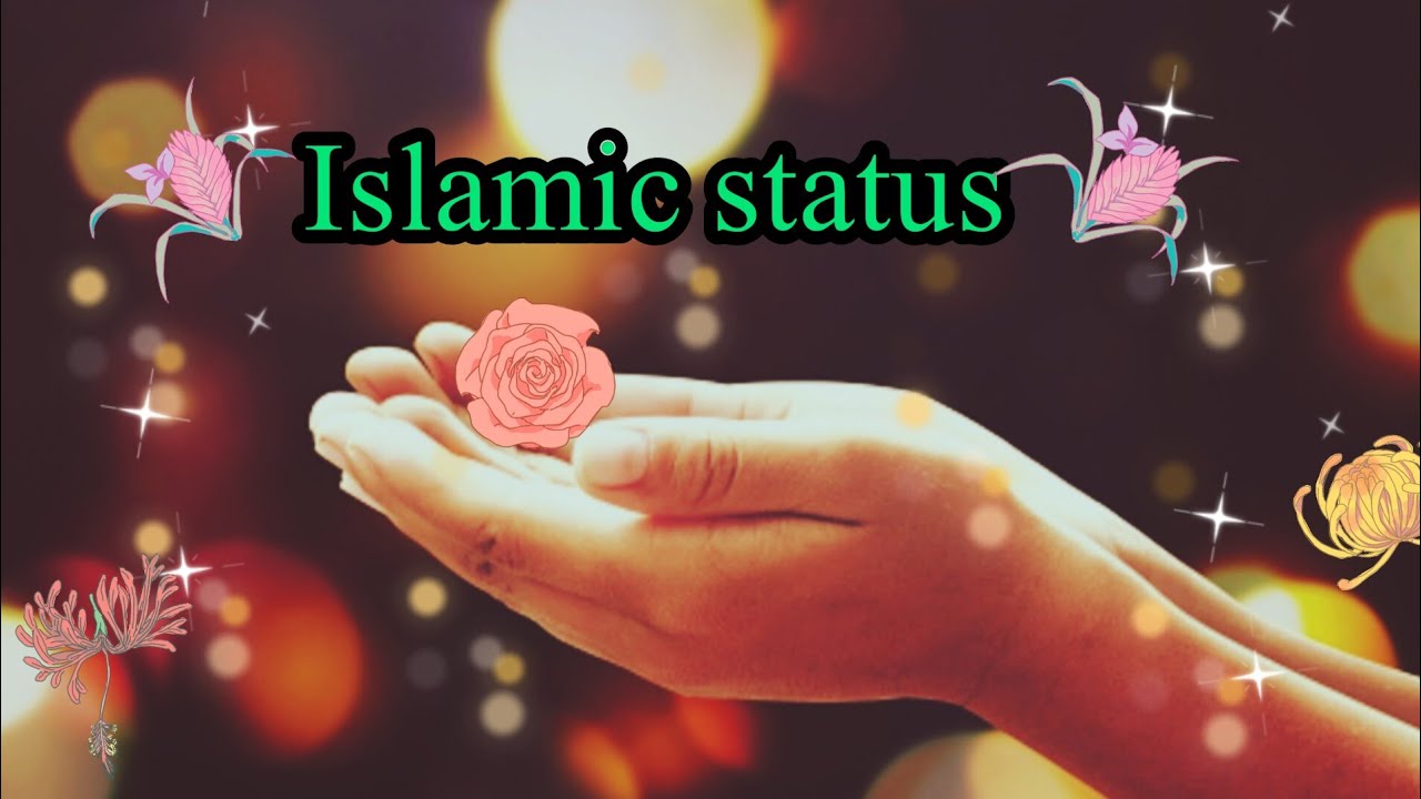 Islamic Status | New Islamic Status - YouTube