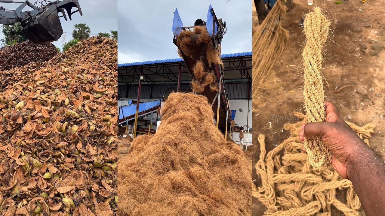 Transforming Coconut Waste into Industrial Rope - YouTube