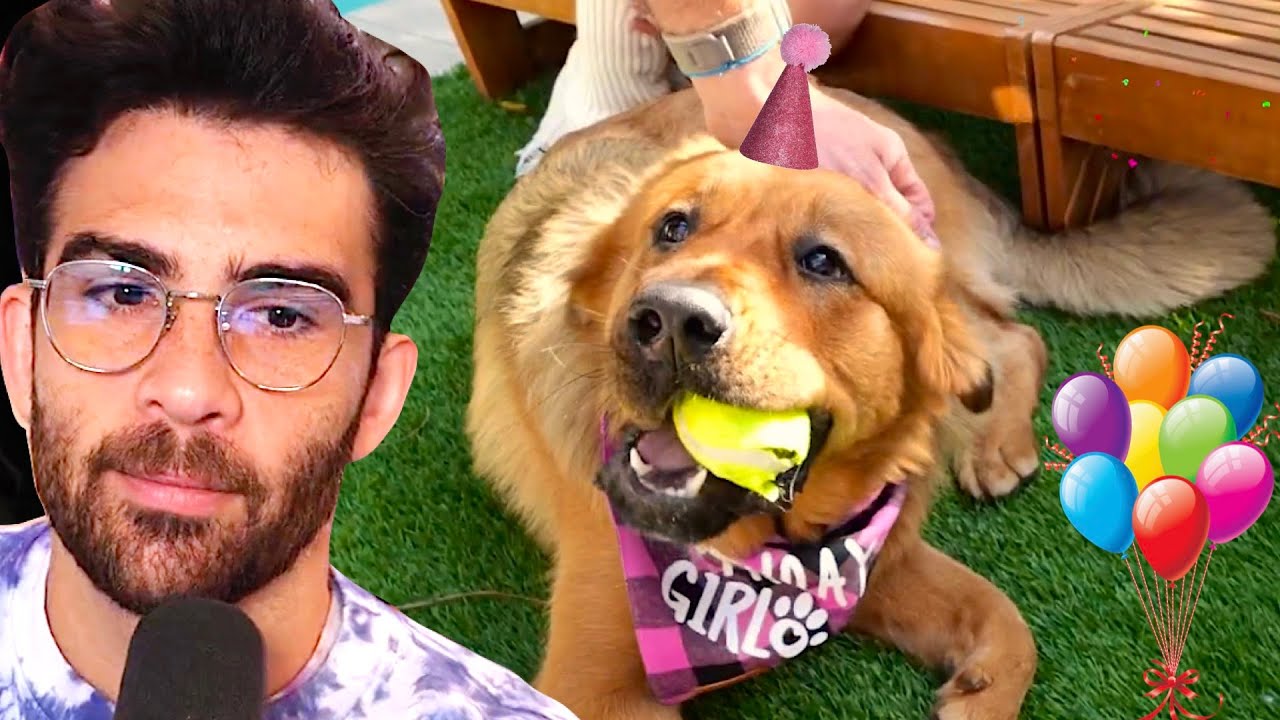 Hasan Recaps Kaya's Birthday Party | HasanAbi Reacts - YouTube