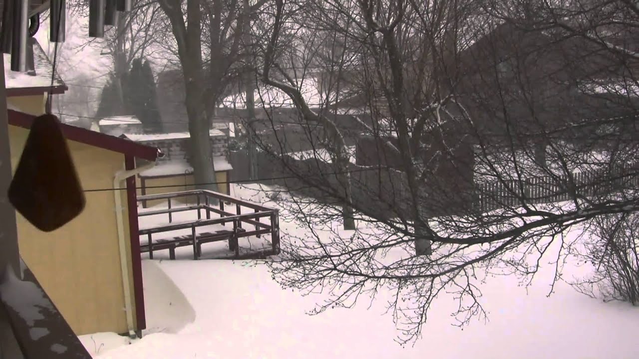 Blizzard 2011 - Backyard - YouTube