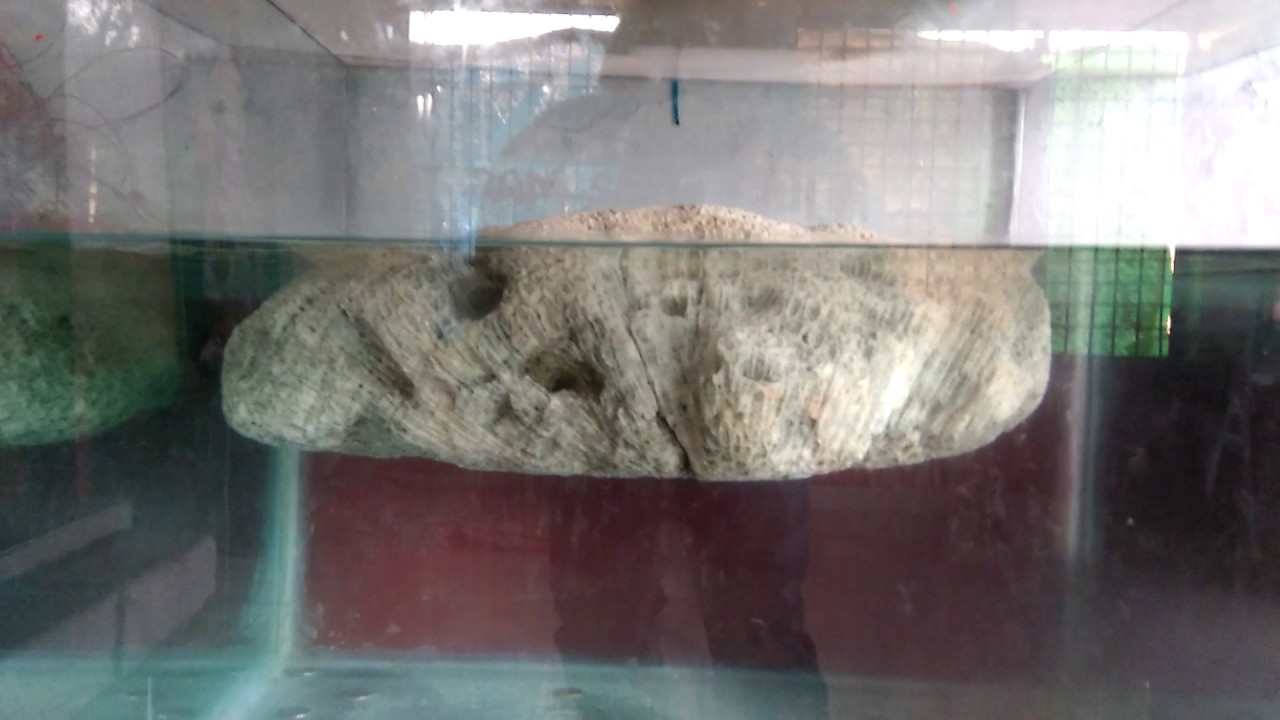 RAM setu mystery decoded : Ancient floating stone - YouTube