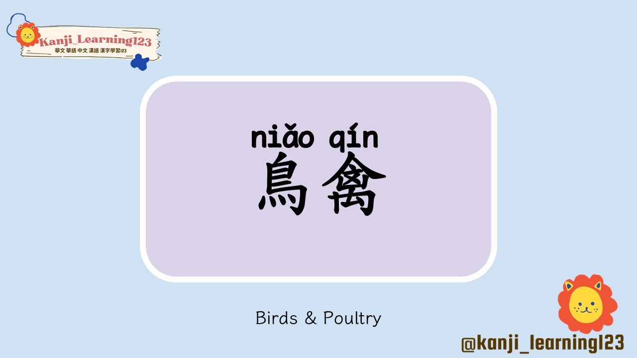 Birds & Poultry - 鳥禽 | Learn Mandarin Chinese Words Fast【Traditional ...
