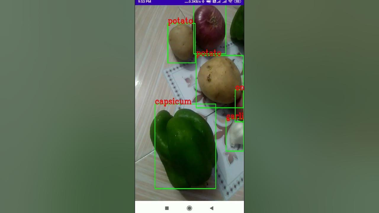 Custom Object Detection Android App Using Tensorflow Litegpu And 8461