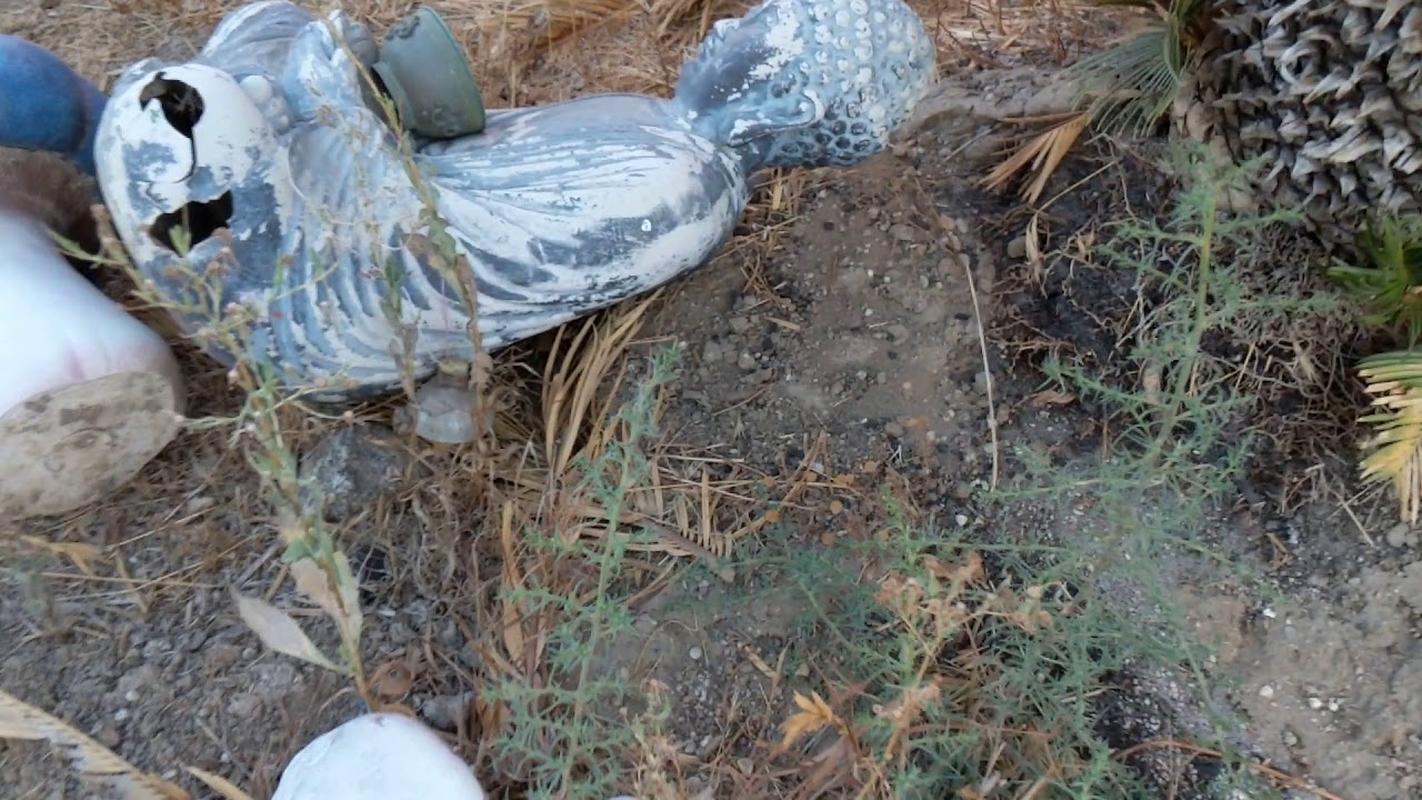 Ant Highway - YouTube