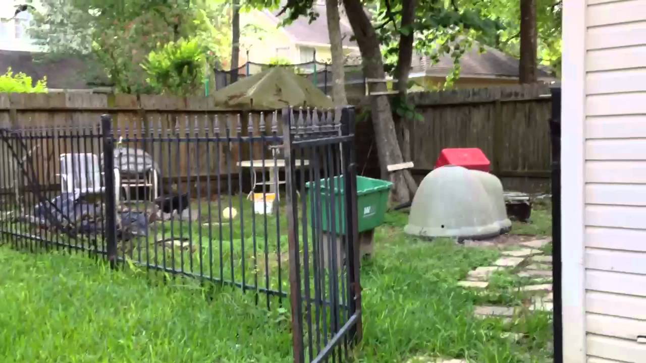 Bored outside - YouTube