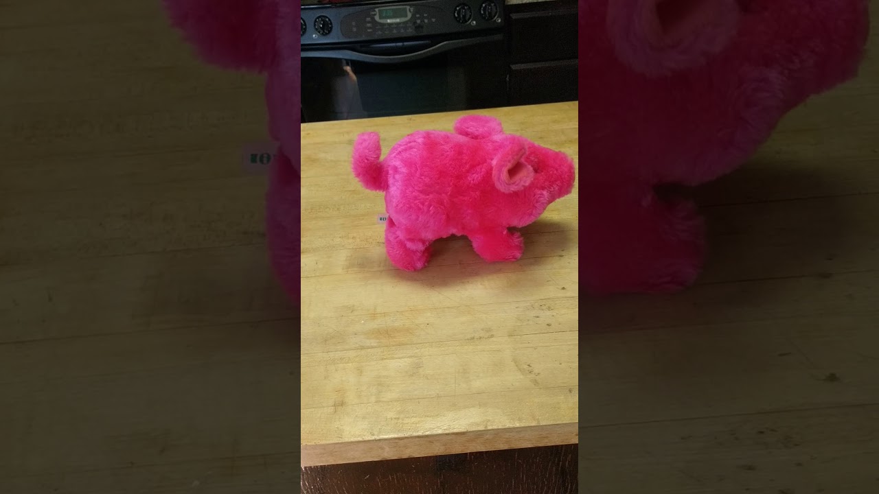 Vintage Battery Operated Iwaya Pig 1986 - YouTube