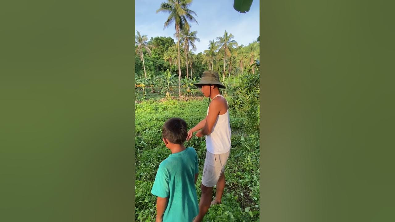 Mga kawatan ug kabaw 😅 - YouTube